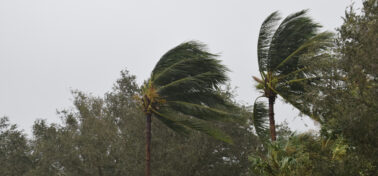 Specialized Insurance Solutions - Seneca Insurance